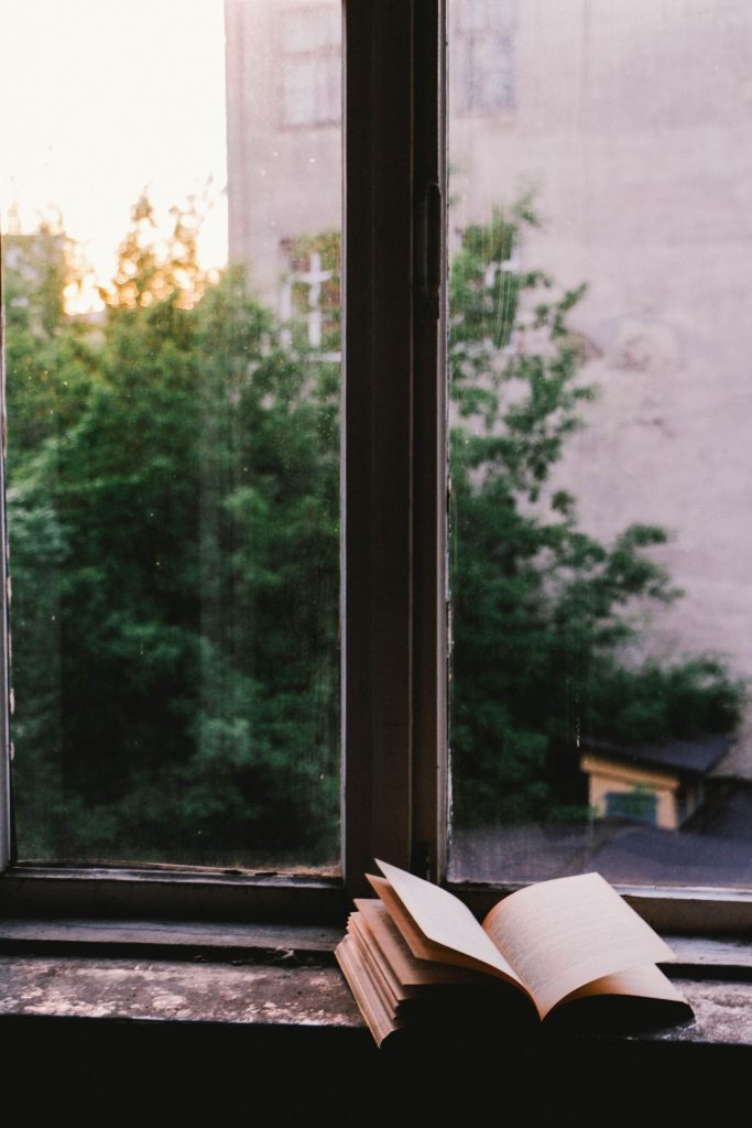 Reading By Window - THE WRONG WRITER
